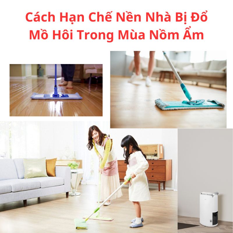 Cách Hạn Chế Nền Nhà Bị Đổ Mồ Hôi Trong Mùa Nồm Ẩm